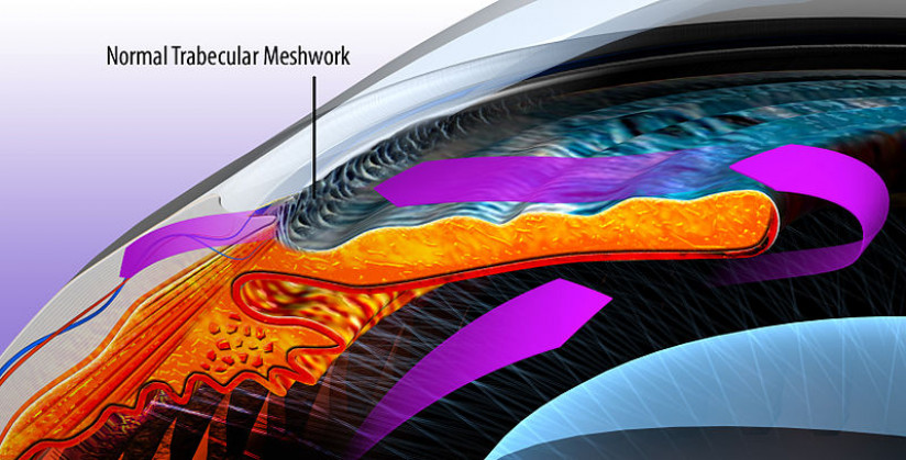 Principles of Glaucoma - PREP Duke Elder