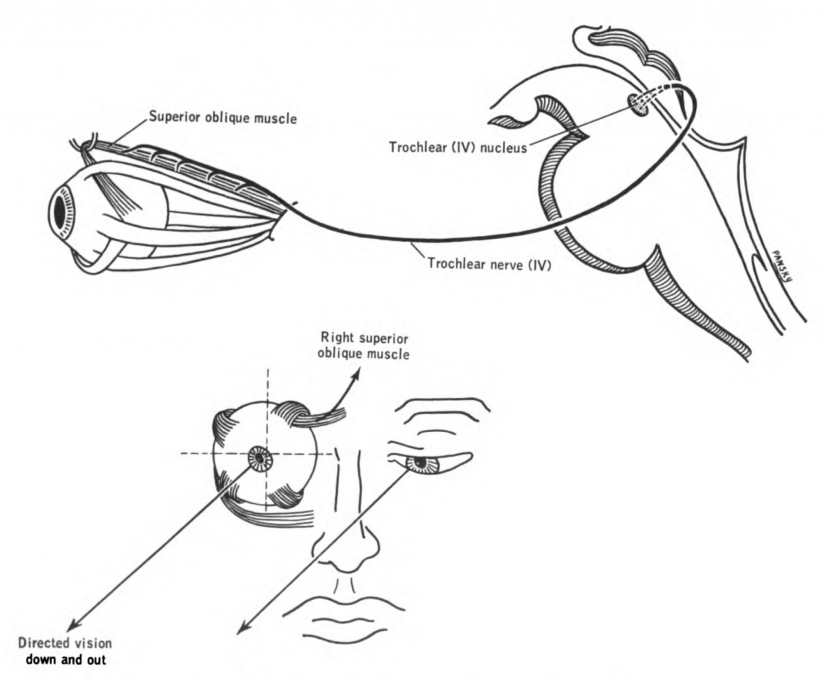 Principles of Neuro-Ophthalmology - PREP Duke Elder